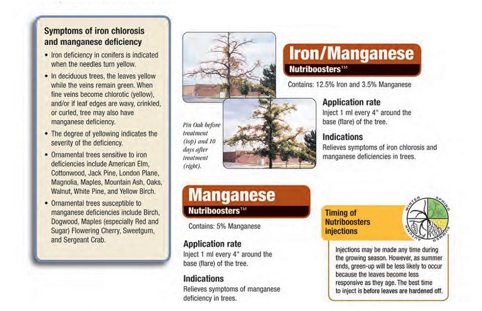 Arbor Systems, Soil Injector, Trunk Injection, Arborjet Tree Injection